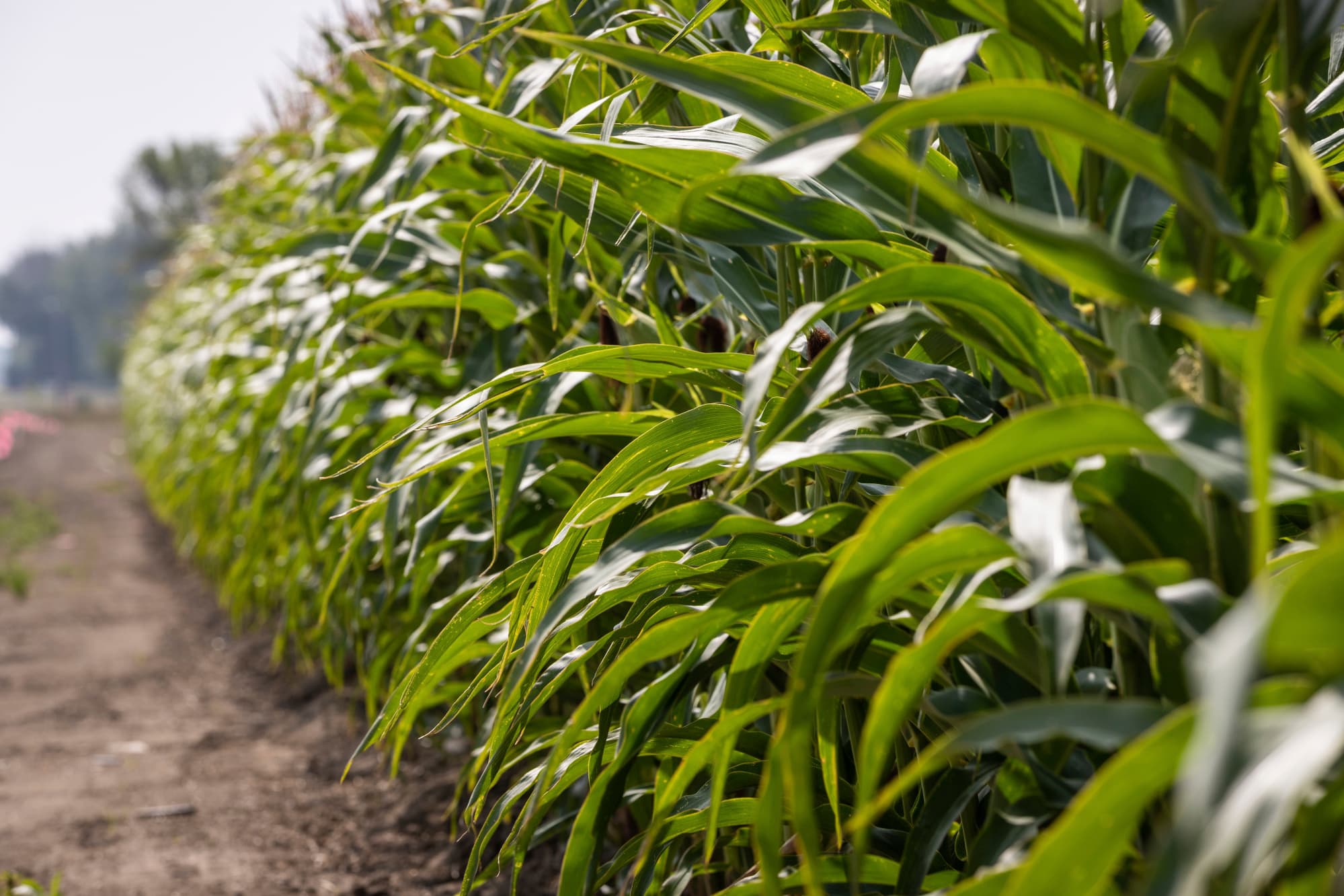 Sensing, monitoring and operational improvements in the St. Mary River ...