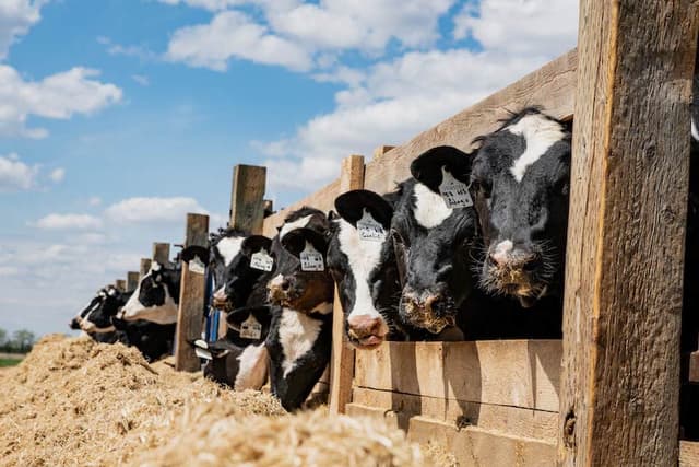 Research Priorities | RDAR